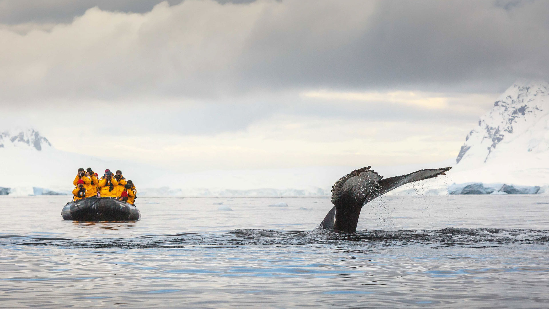 An interview with polar photographer, David Merron » Wayfinders