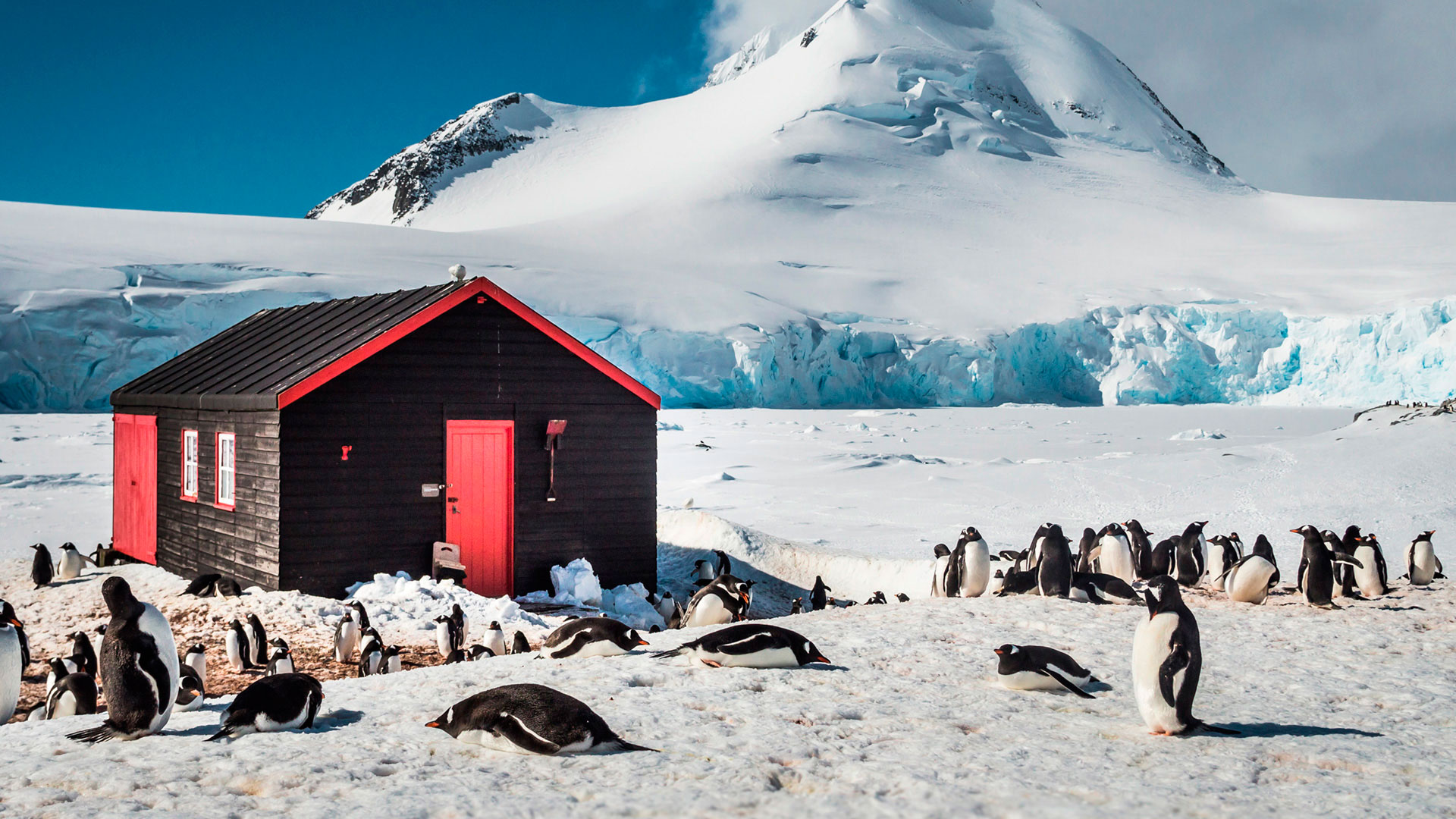Antarctic Peninsula – Basecamp Plancius » Wayfinders